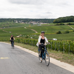 Small group tours Champagne from Reims or Epernay | A la Francaise ...